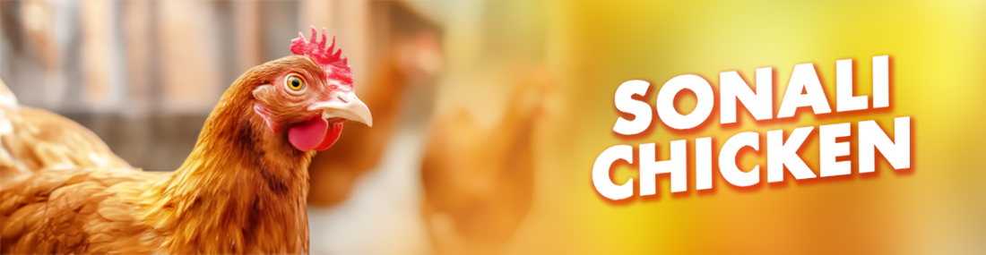 Paragon Agro Ltd | Sonali Chicken